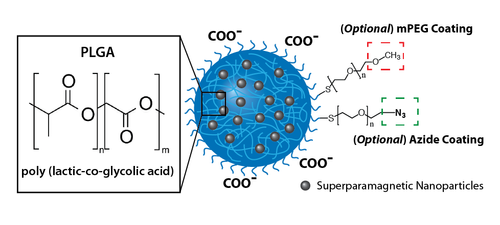 PLGA Nanoparticles, Magnetic | Luna Nanotech Canada