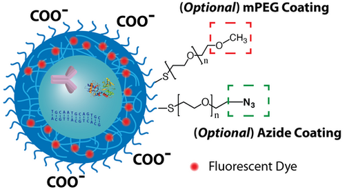 PLGA Nanoparticles - Double Emulsion - Custom Cargo Loading | Luna Nanotech