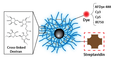 Dextran CLIO Magnetic Nanoparticles - Streptavidin, Fluorescent Dye | Luna Nanotech Canada