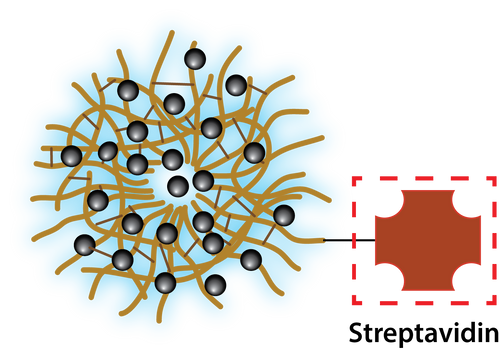 Streptavidin Coated Magnetic Beads, 500 nm Diameter | Luna Nanotech Canada