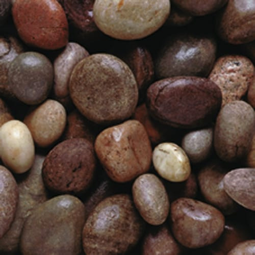 Scottish Cobbles | Snowdonia Nurseries