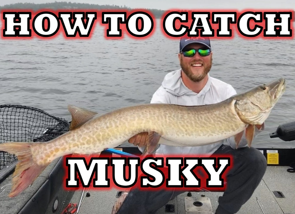 Muskie Fishing: Learn How To Fish For Muskellunge Like A Pro!