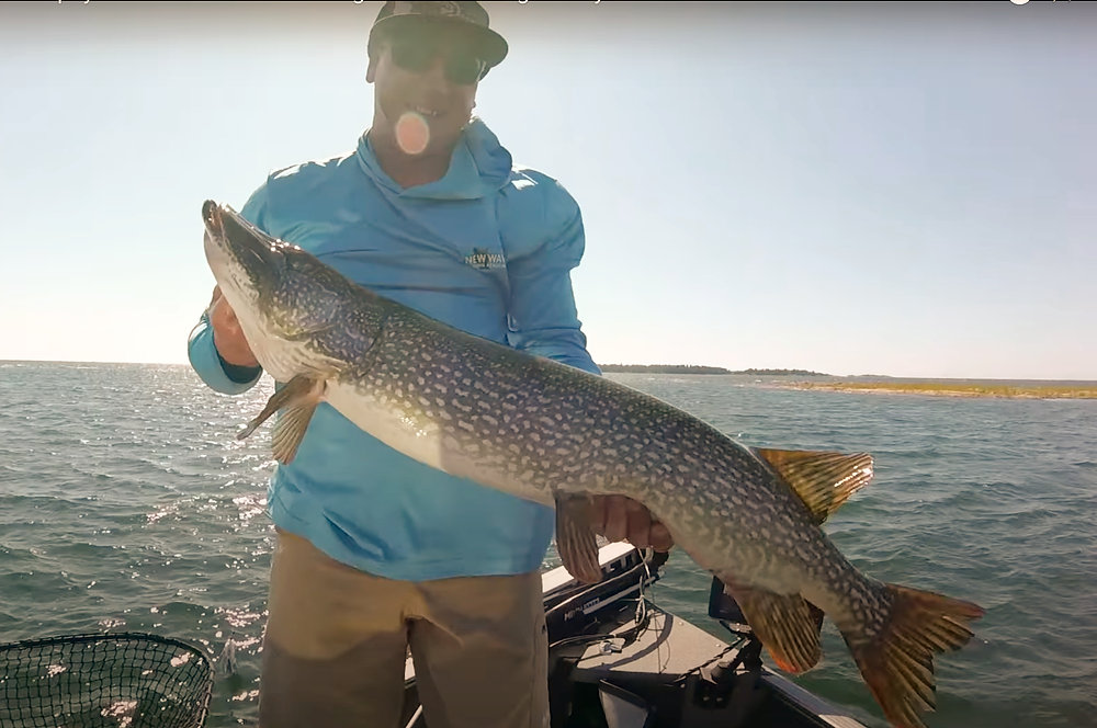 Northern Pike Seasonal Movements: How Far Do They Go?