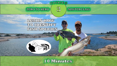 Ontario Fish Identification | New Wave Fishing Academy