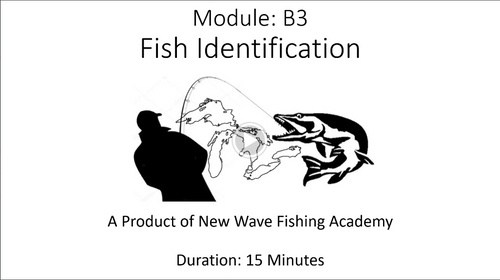Ontario Fish Identification | New Wave Fishing