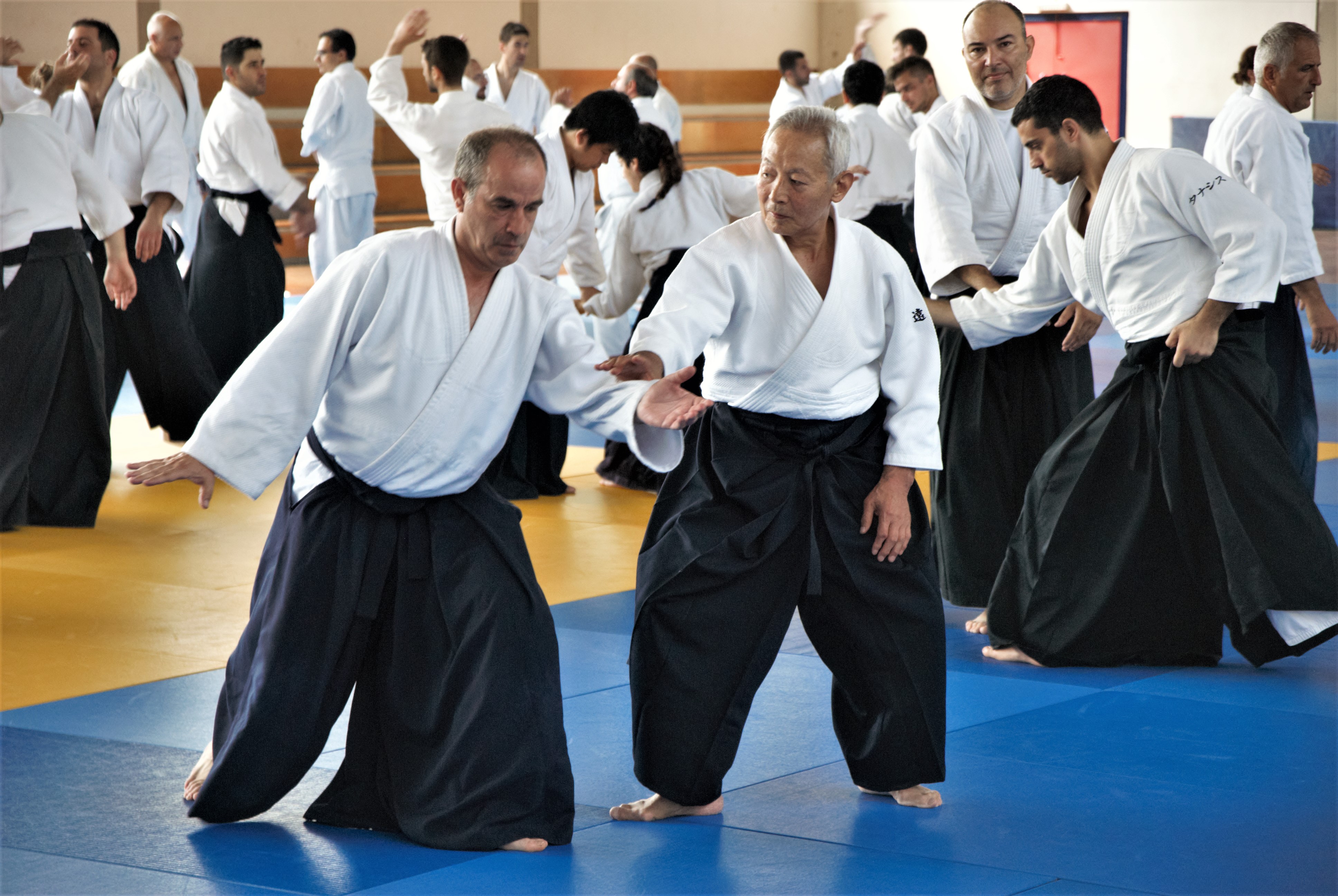 Aikido Γέρακα