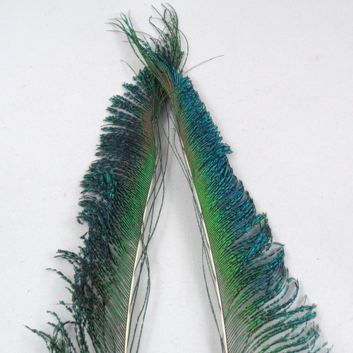 Peacock Swords 10 pack | html_mountainfeathers