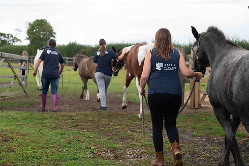 What we do | Stable Futures