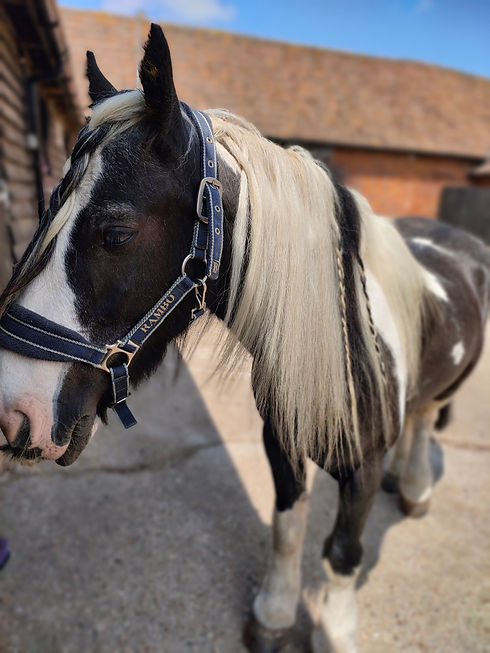 Meet the Team | Stable Futures