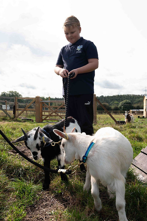 The Stables | Stable Futures