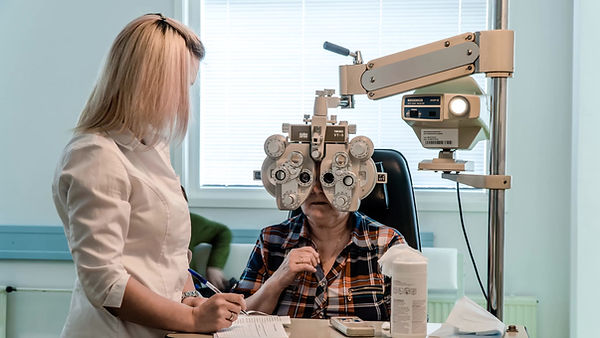 Page d'accueil | Jean Talon | Montréal