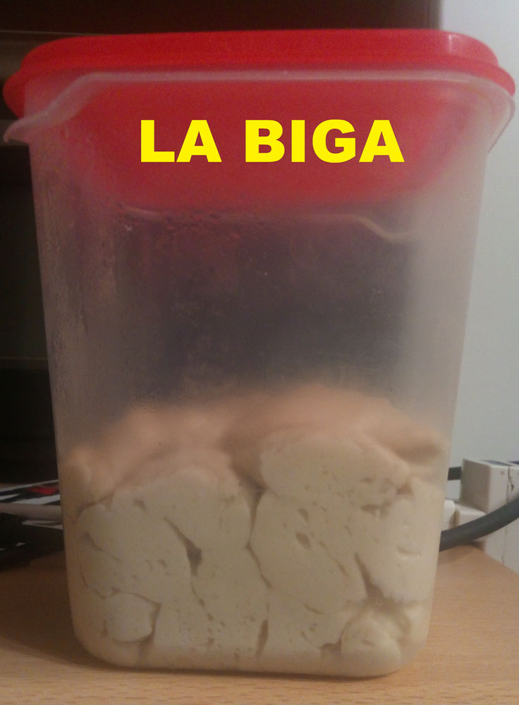 LA BIGA