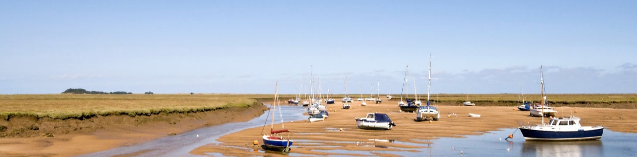 Chestnut | East Anglia | North Norfolk