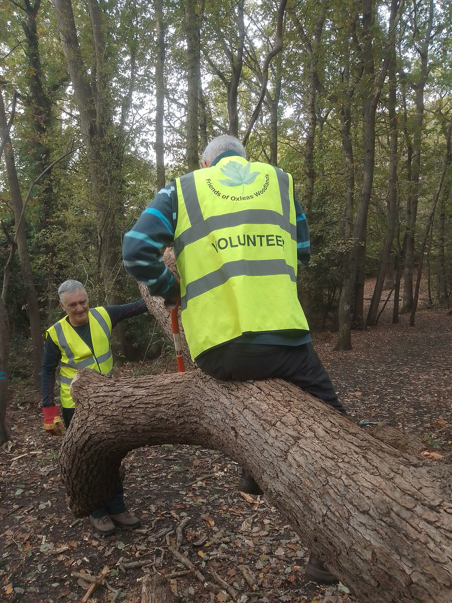 Woodland Conservation | FOW