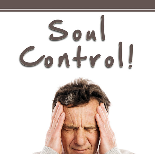SOUL CONTROL | CV Ministries