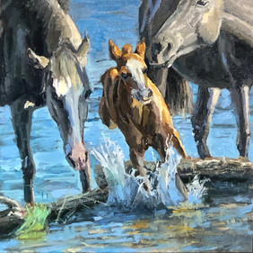 Home | KellysGallery2020