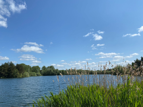 EXPLORING LYNFORD | Lynford Gardens Forest Holiday Cottages