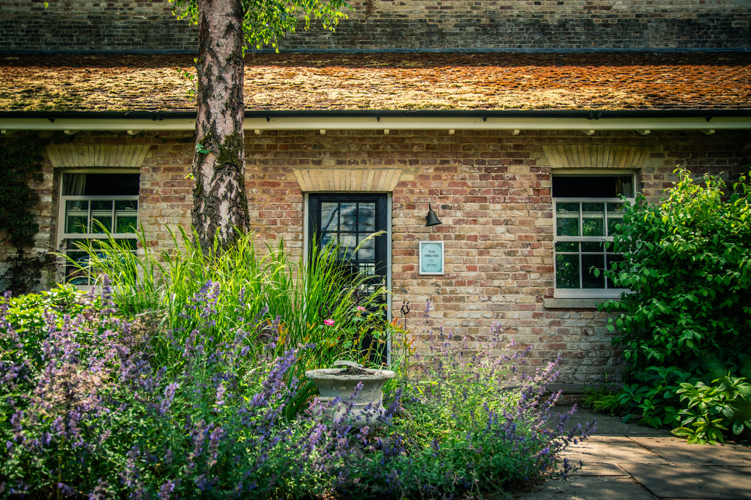 FINCHES | Lynford Gardens Forest Holiday Cottage