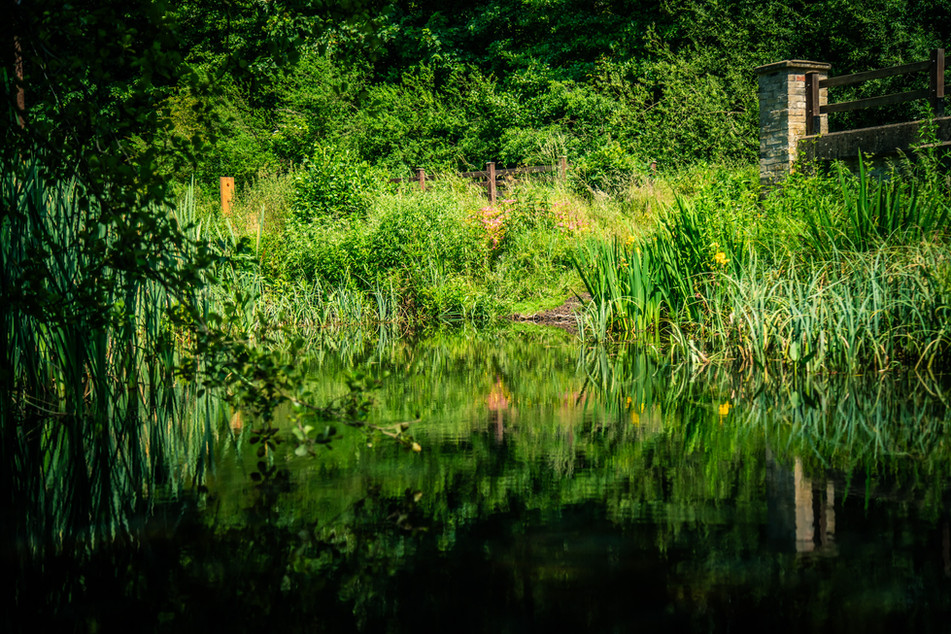 EXPLORING LYNFORD | Lynford Gardens Forest Holiday Cottages
