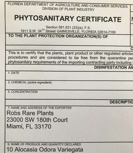 Phytosanitary Certificate | Rob's Rare Plants