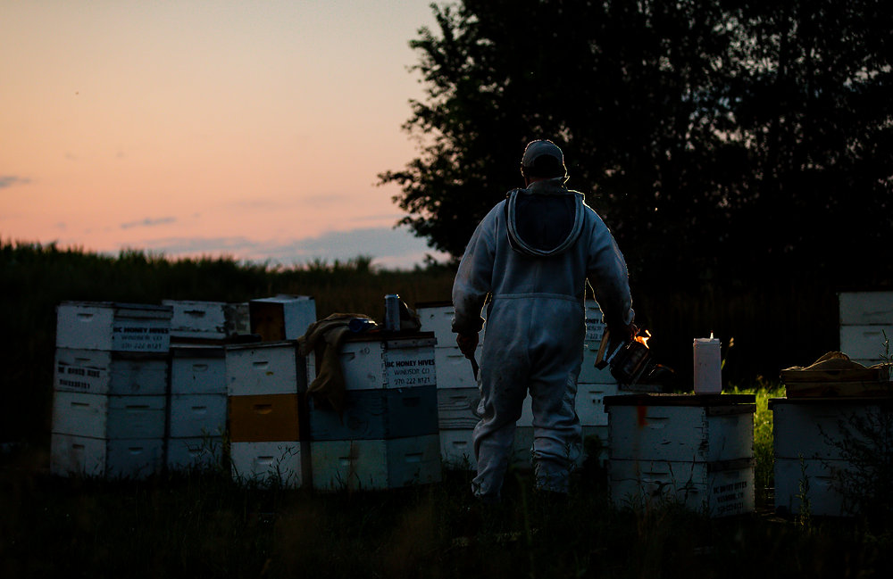 The Sweet Science: Protecting Colorado's Colonies with the National ...