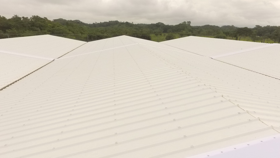 TERMODEX ROOF DX 950 | Grupo Domex