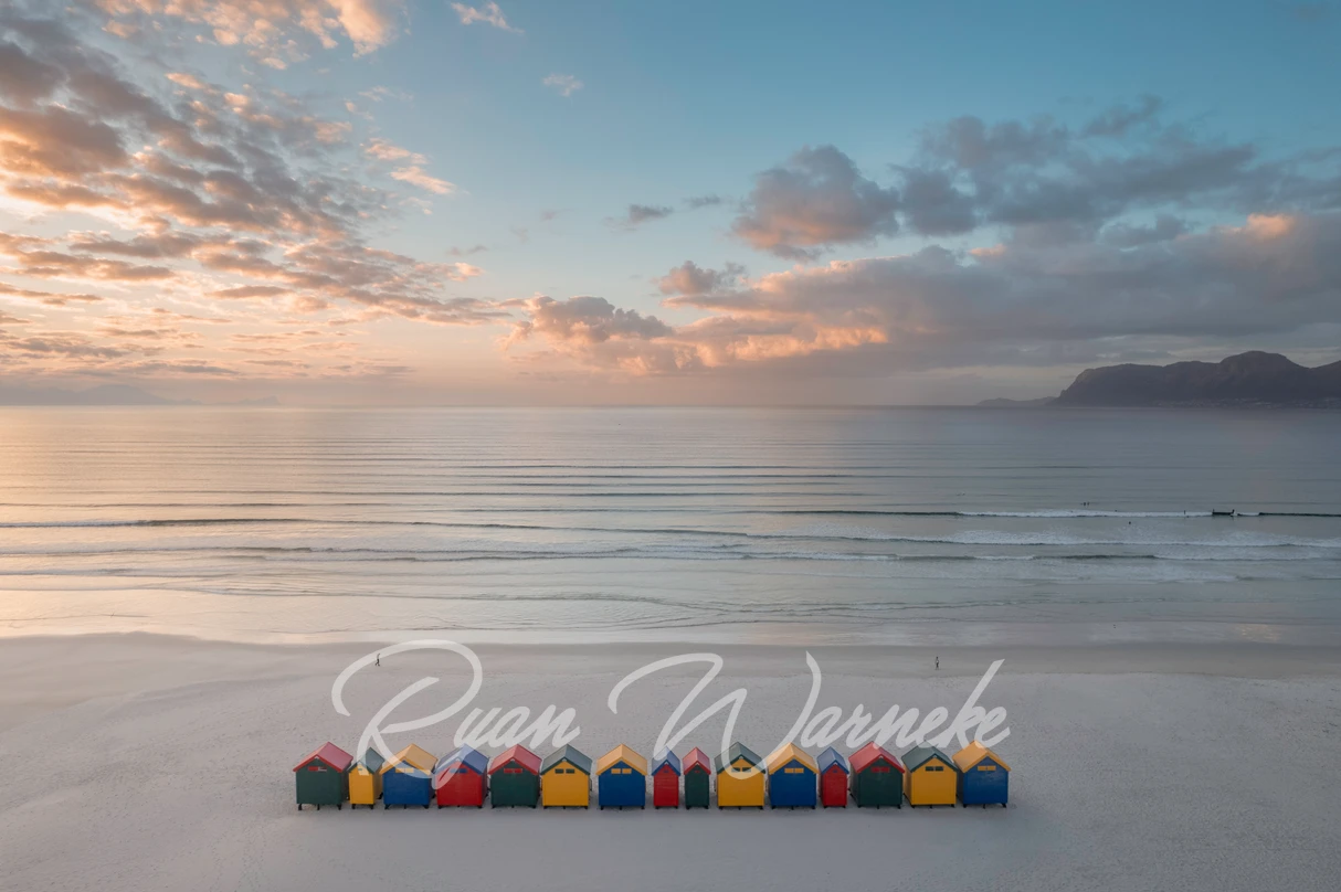 Artwork SA | Ryan Warneke