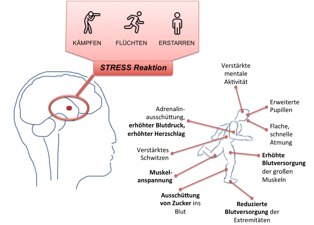 Stress und mentale Gesundheit am Arbeitsplatz - immer noch ein Tabu?