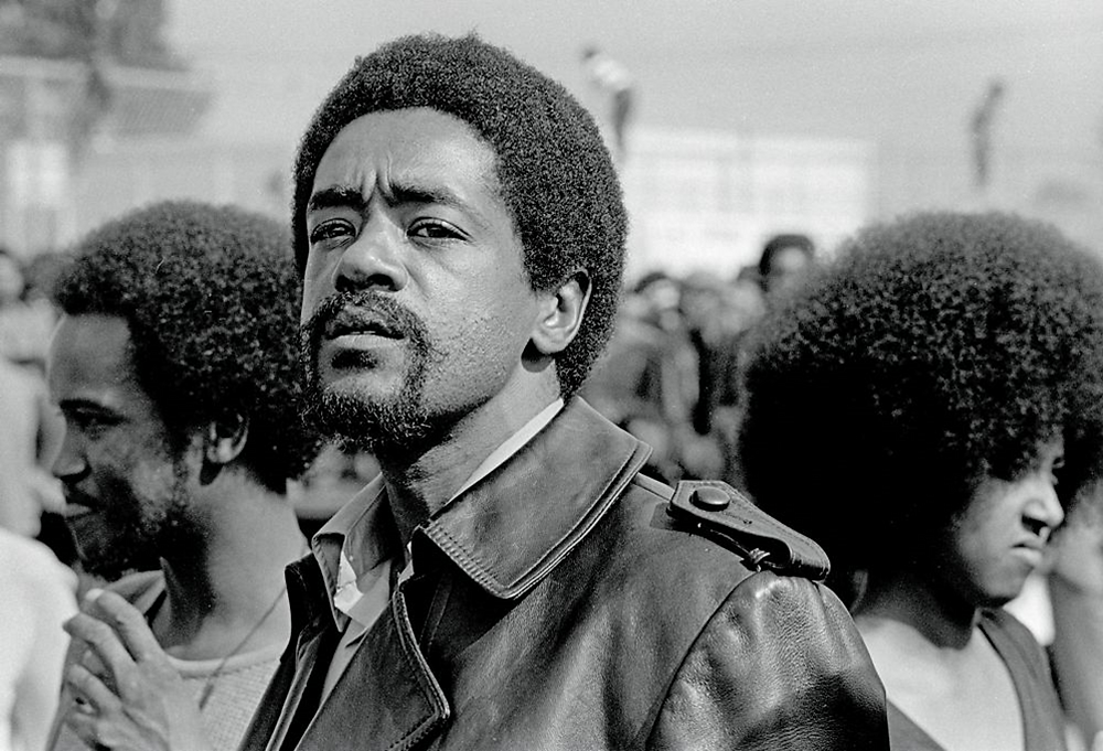 What We Want, What We Believe? : Black Panther Movement in the USA