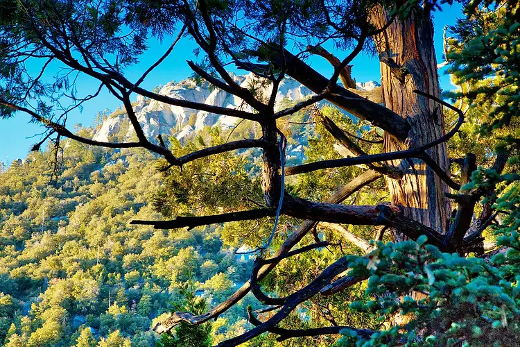 Retreats | Shawnee Thornton Hardy