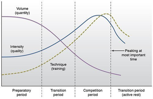 Understanding your physiological peak