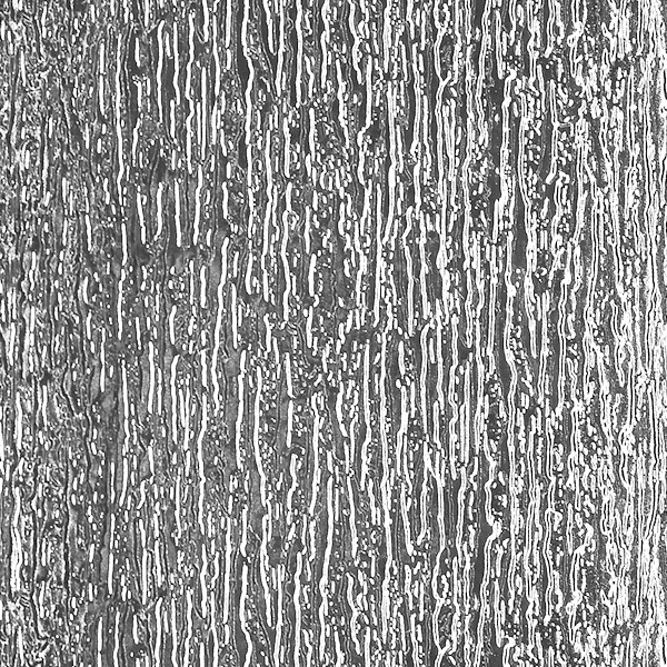 Rain Glass from the B.C. Door Company