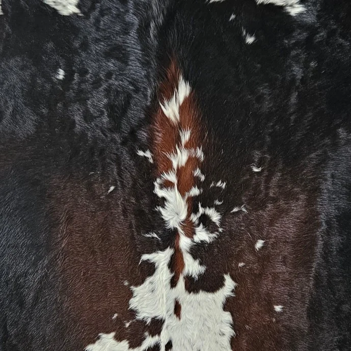 Wild Hide Co | Luxury Nguni Hides | South Africa