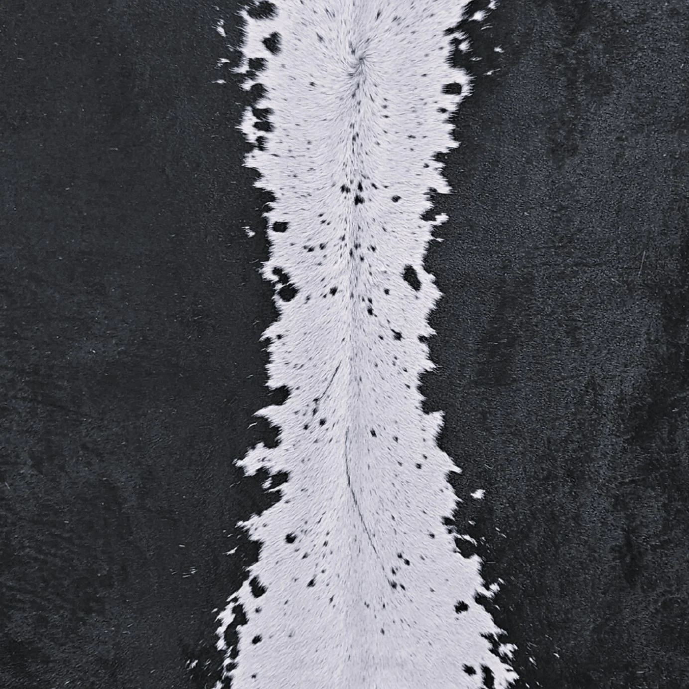 Wild Hide Co | Luxury Nguni Hides | South Africa