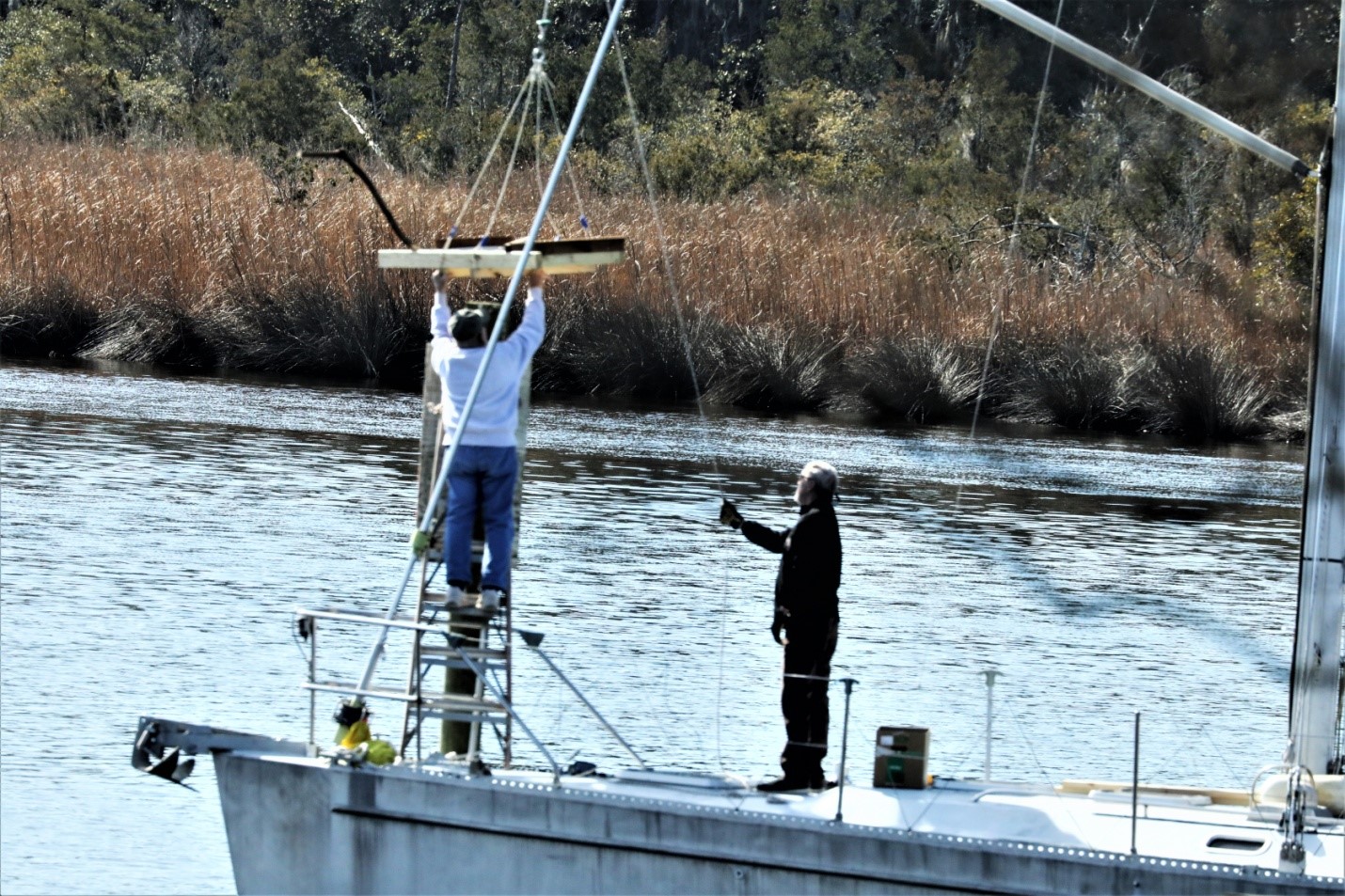 The Osprey Saga in Northwest Creek