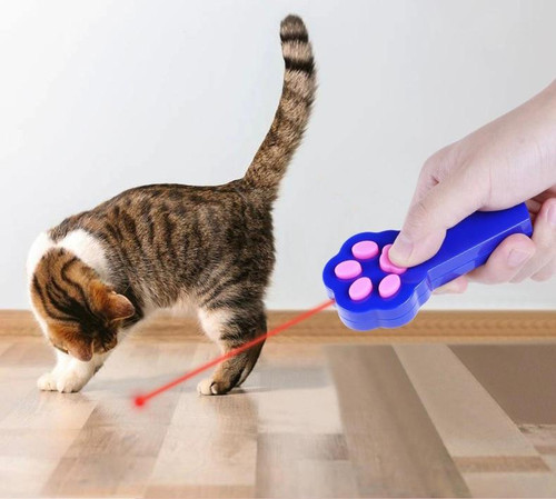 Laser Pointer | Online Pet Shop - Pet Supplies Store | Paw Lobby ...