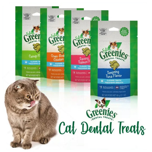 Feline Greenies Dental Treats - 1 Pack | Paw Lobby