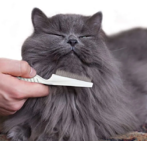 Fleas Comb Lice Removal Kutu Comb | Paw Lobby