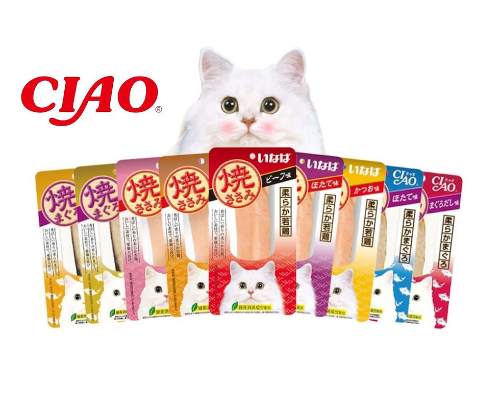 Ciao Cat Treat Fillet 20g | Paw Lobby