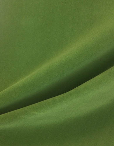 Forest Green Velvet | shopmyfabrics