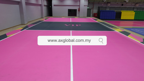 AX Exclusive Pickleball Court PVC Mat | Durable Floor