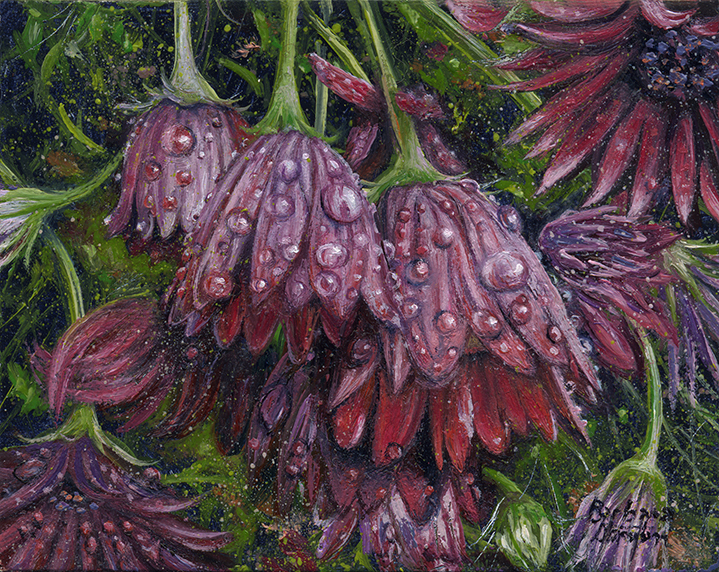 Original Oil Paintings | Barbara Stanton