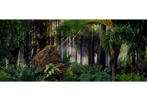 D412 Forest With Rock (D412) | JaDuke Backdrops