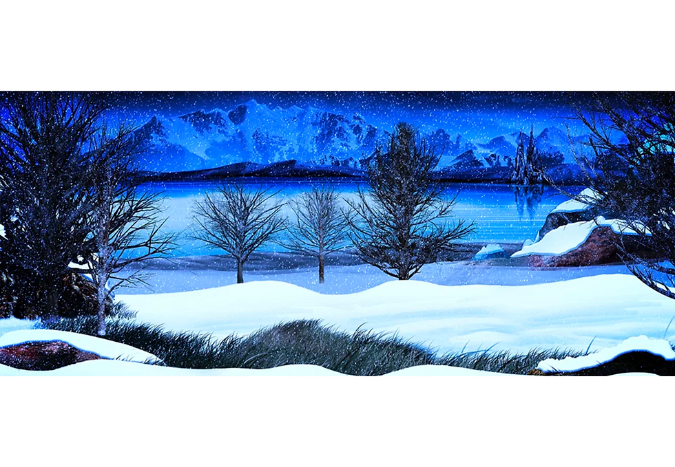 D289 Narnia Winter (D289) | JaDuke Backdrops