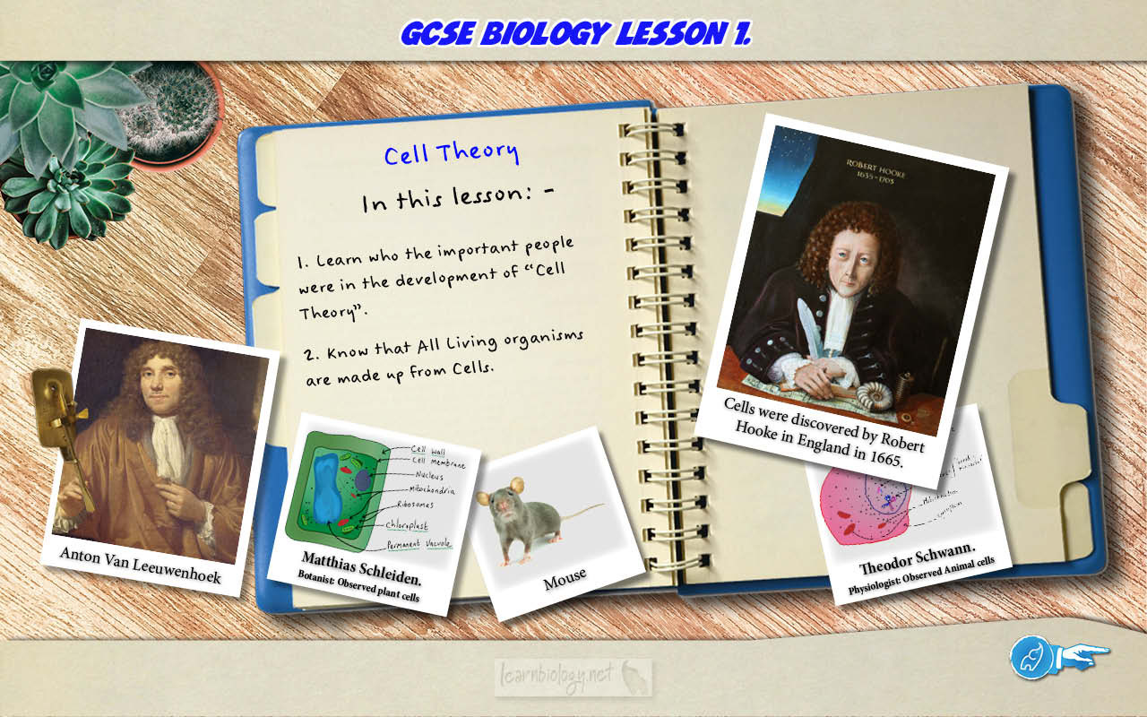 GCSE Biology | Learnbiology.net