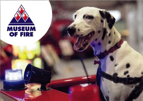 Duke Magnet | Museum of Fire