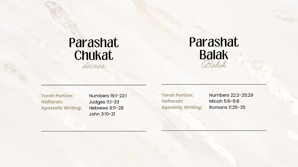 Parashat Chukat / Balak