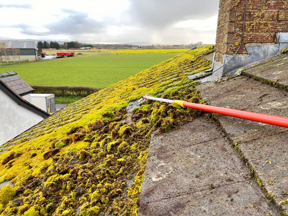 Moss removal Lancashire