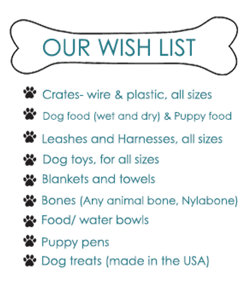 Dog | A Journey Home Dog Rescue | United States