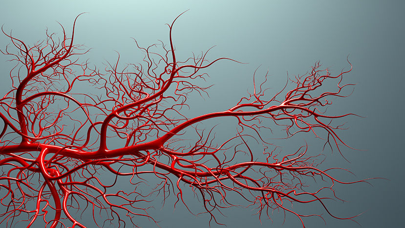 EVAR/FEVAR/TEVAR Billing Guidelines